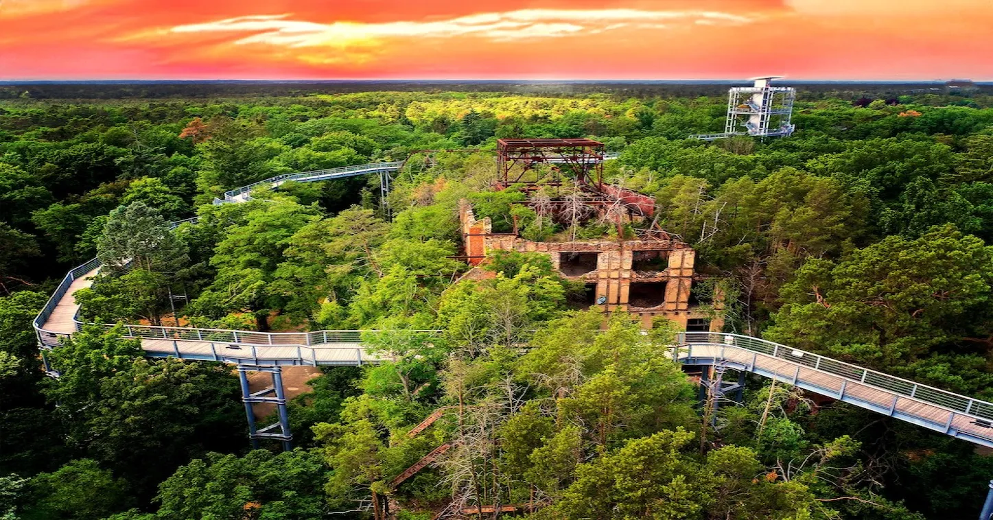 Baumkronenpfad Beelitz-Heilstätten ⇒ Natur & Erlebnis pur