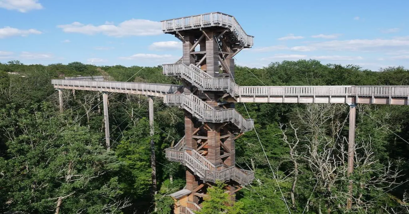 Entdecken Sie den Baumwipfelweg in Bad Camberg ⇒ Ein Erlebnis für die ...